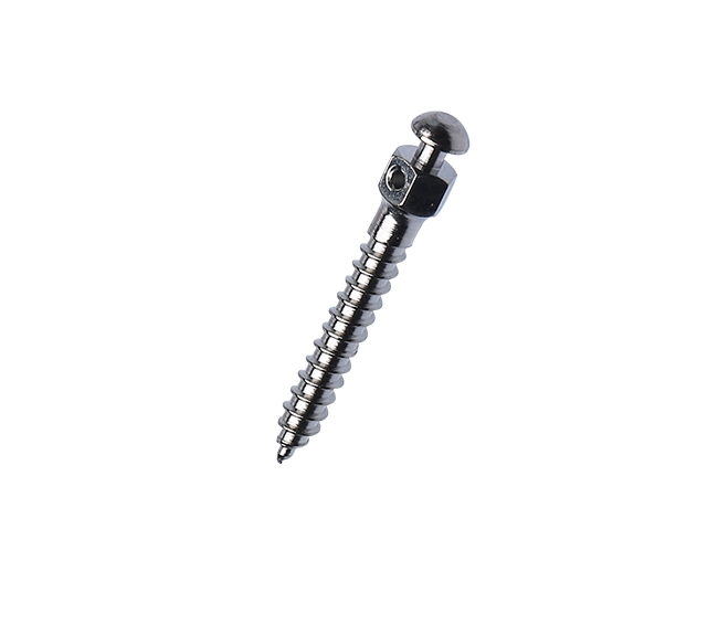 Orthodontic Implant Mini Screw - Kronos Armour